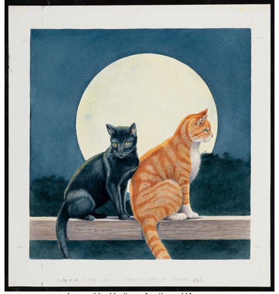 Peter Barrett | Tinker and Midnight on the Farm Fence, A Day in the ...