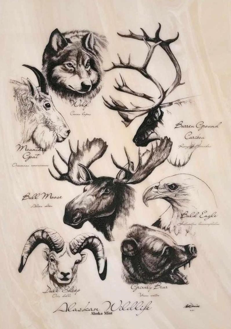 Bill Devine | Alaskan Wildlife | MutualArt