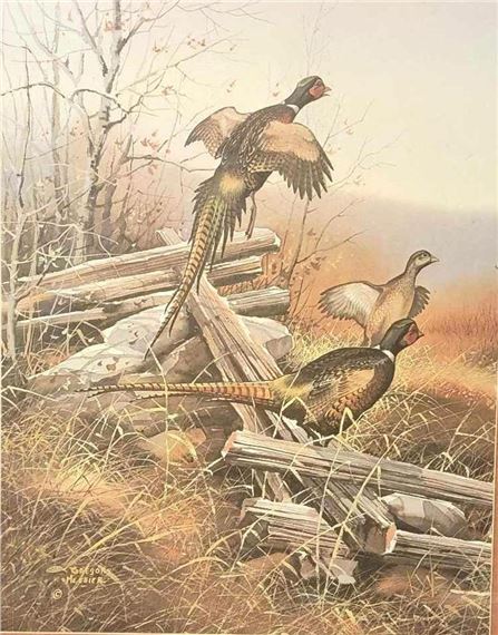 Gregory F. Messier | Pheasants in Flight | MutualArt