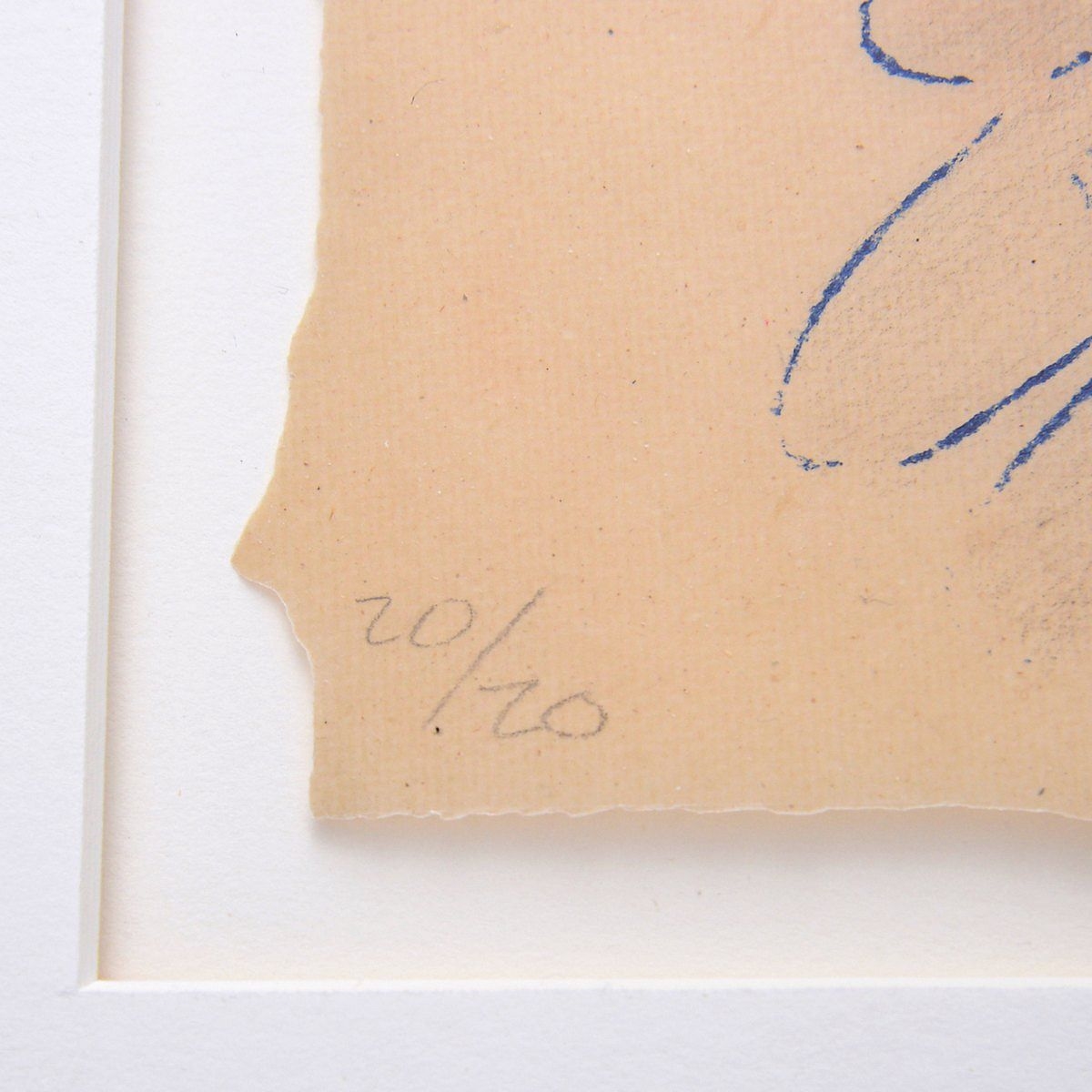 Kiki Smith | Kiki Smith PARROT Stencil Print with Platinum Leaf (2006 ...