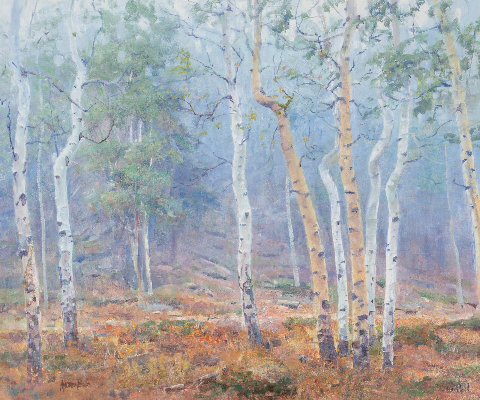 Andrew Peters | Halcyon | MutualArt