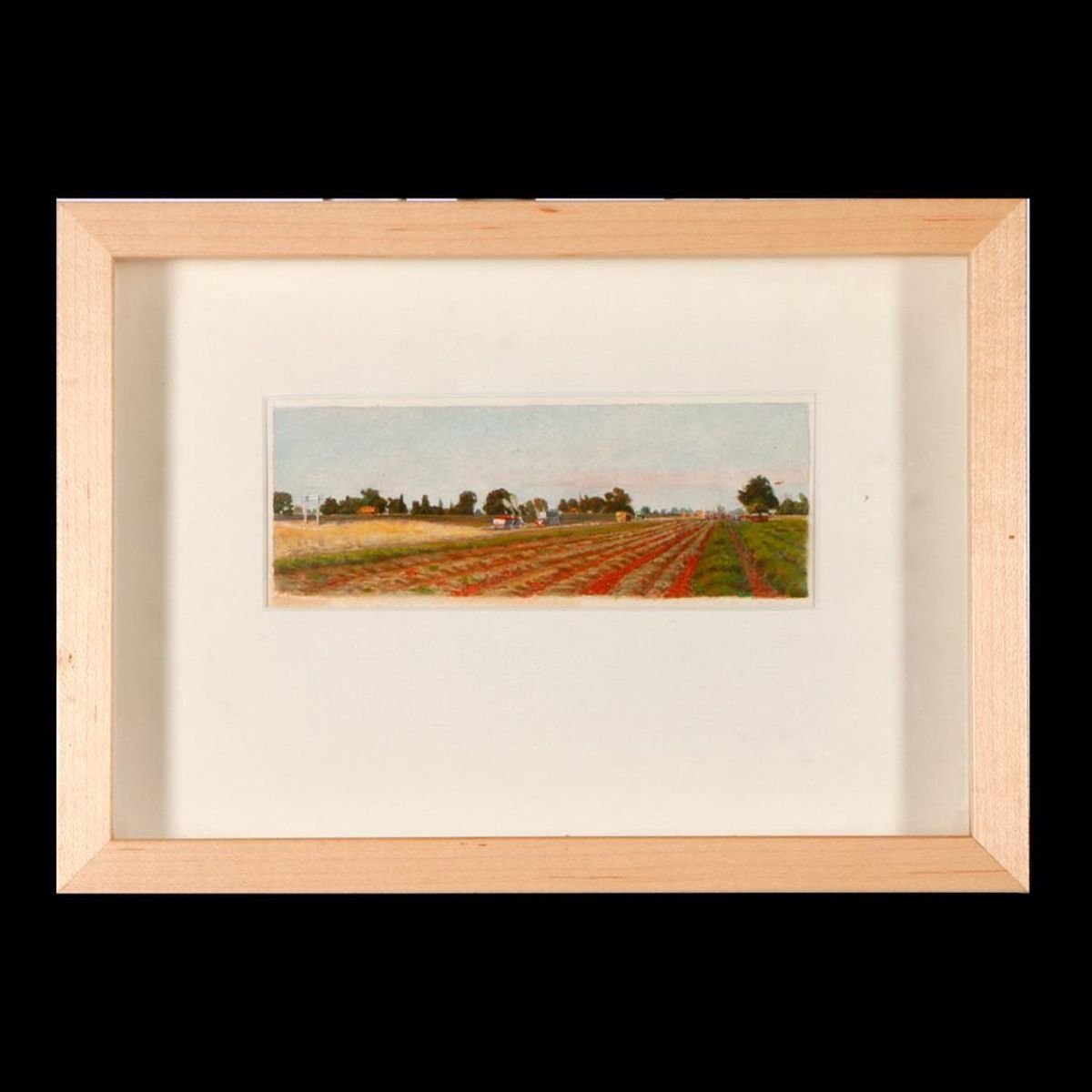 Julie Bozzi | Tomato Harvest | MutualArt