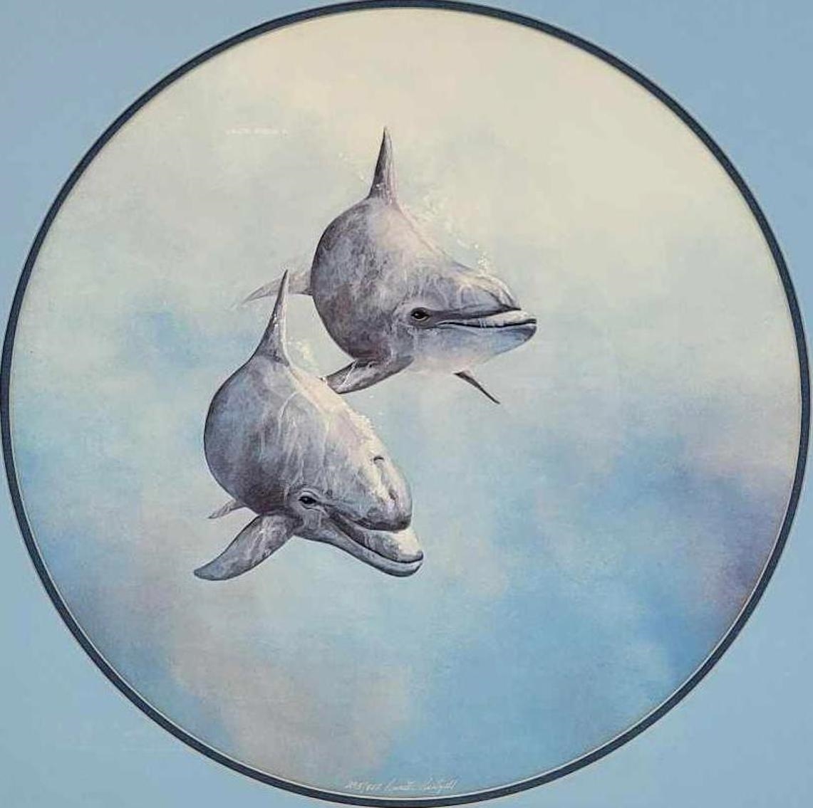 Annette Hartzell | Pair of dolphins | MutualArt
