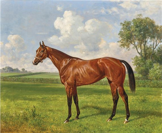 Emil Adam | Das Springpferd Royal Meath im Stall (1900) | MutualArt