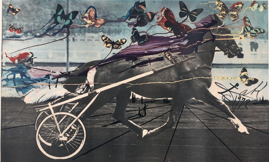 Salvador Dalí | Butterfly race | MutualArt