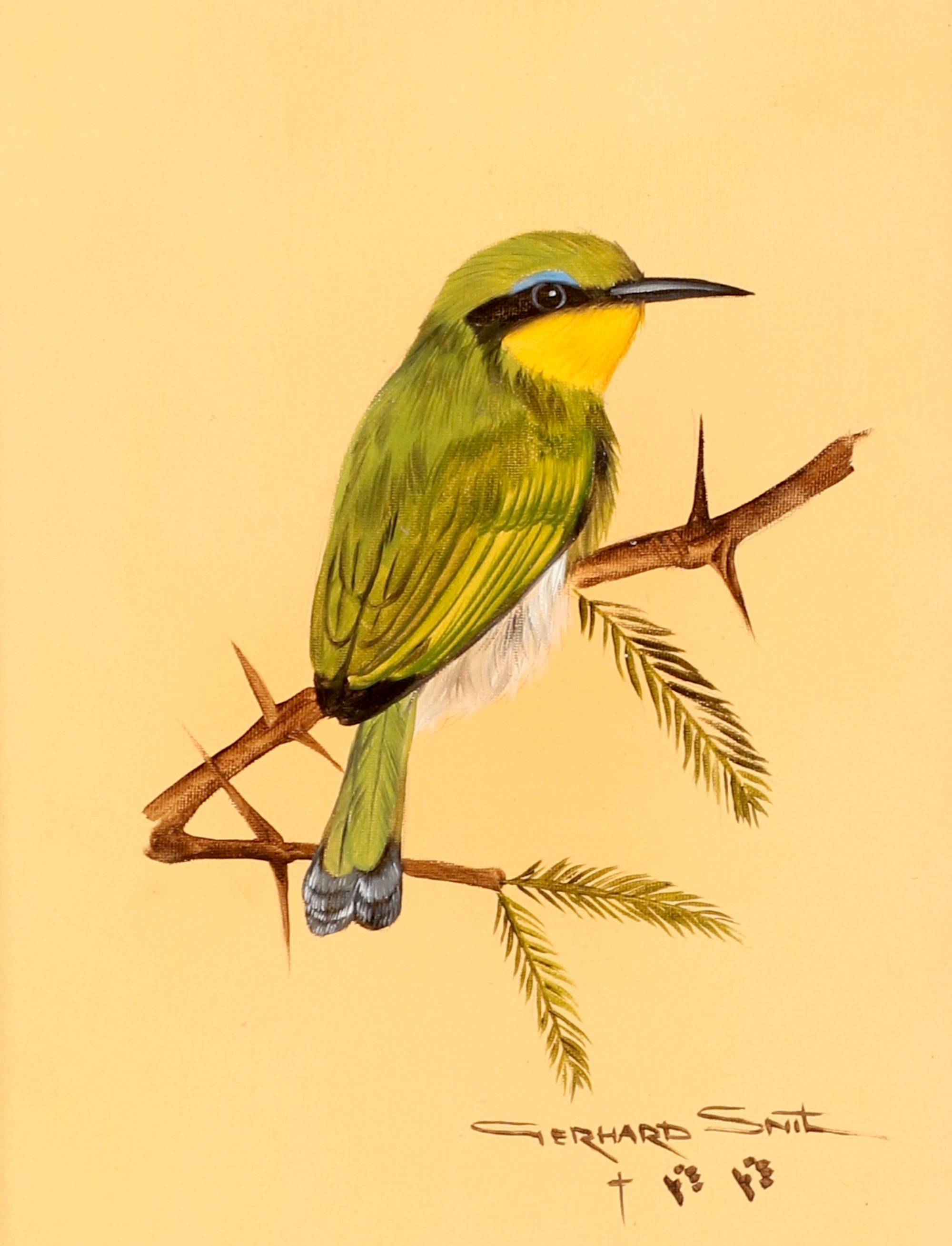 Gerhard Smit | SOUTH AFRICAN BIRD SPECIES | MutualArt