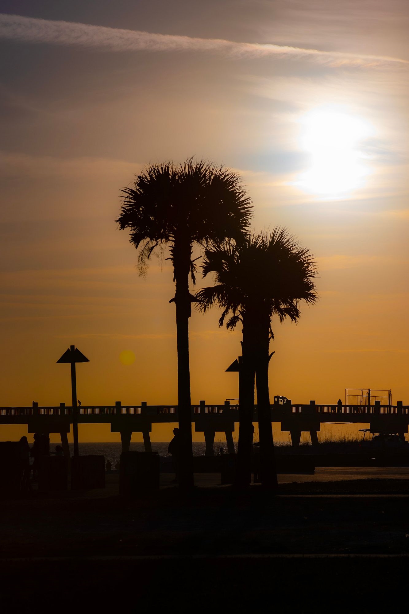 Susan Szantosi | Palm trees in sunset | MutualArt