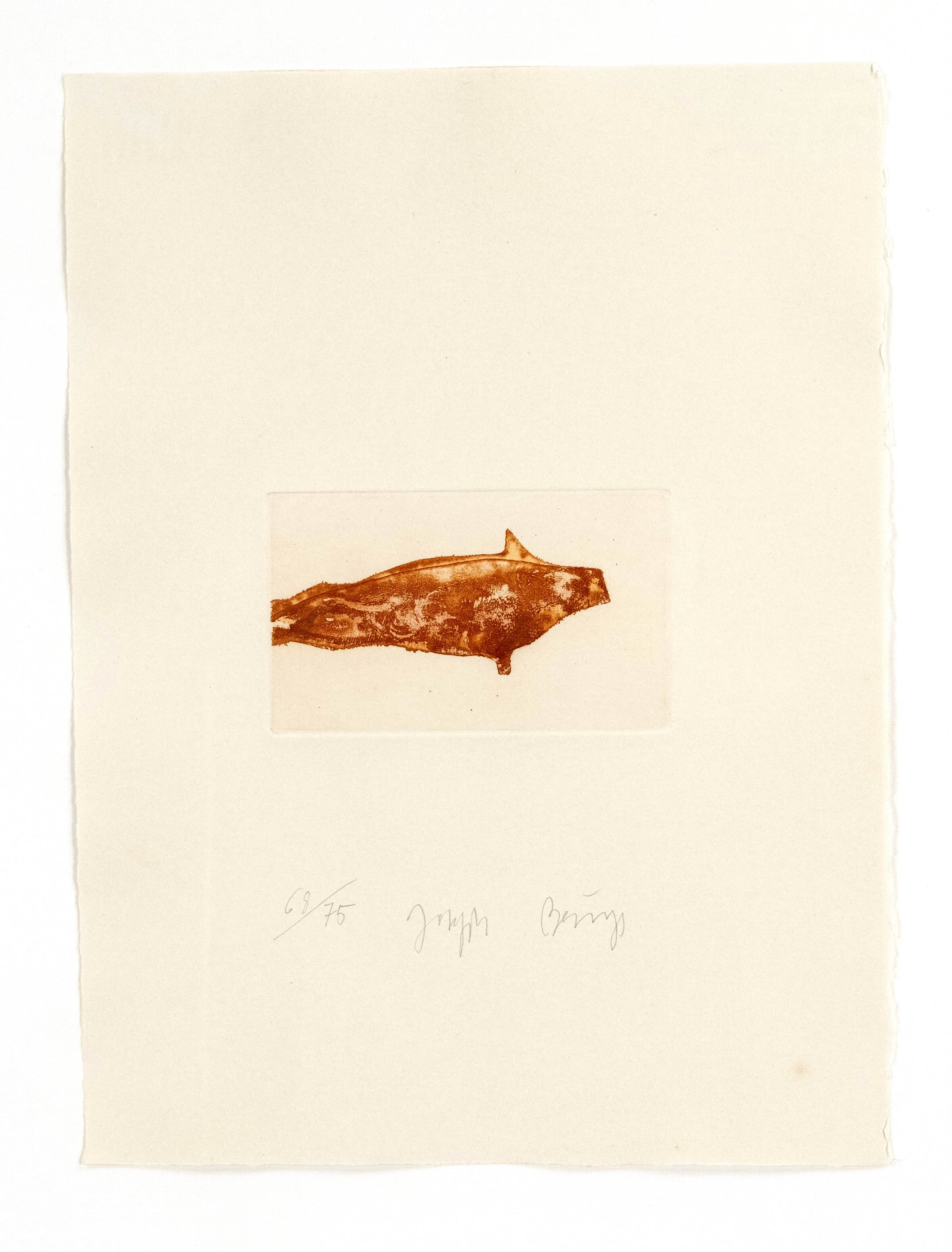 Joseph Beuys | ''Meerengel Robbe 2'' (1982) | MutualArt