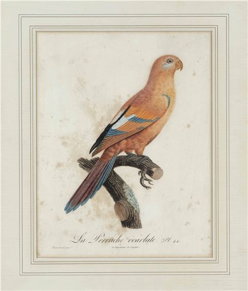 Jacques Barraband | 3 parrots (1805) | MutualArt
