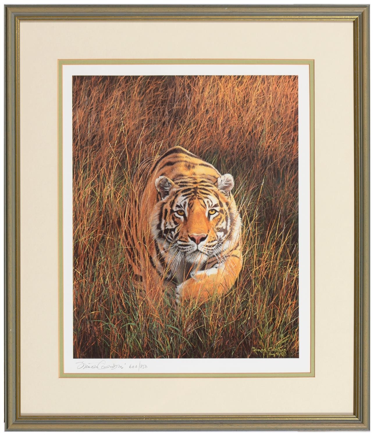 David Shepherd | - Cool Tiger, reproduction | MutualArt