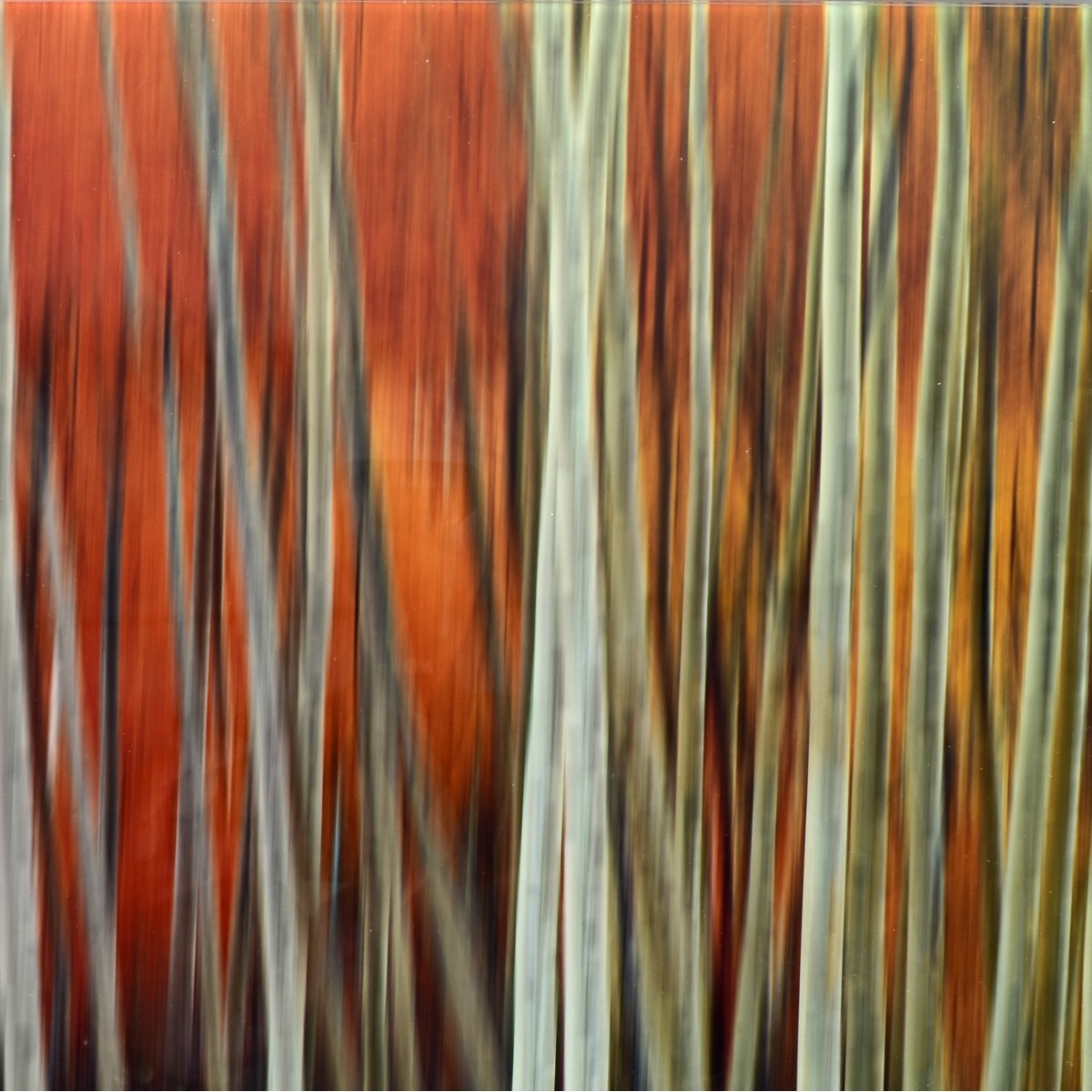 Peter Lik | Blur | MutualArt