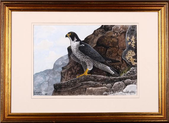 Matsåke Bergström | Peregrine falcon (1985) | MutualArt