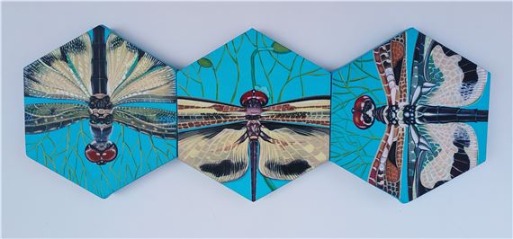 Sambit Panda | Story of Dragonfly 13 | MutualArt