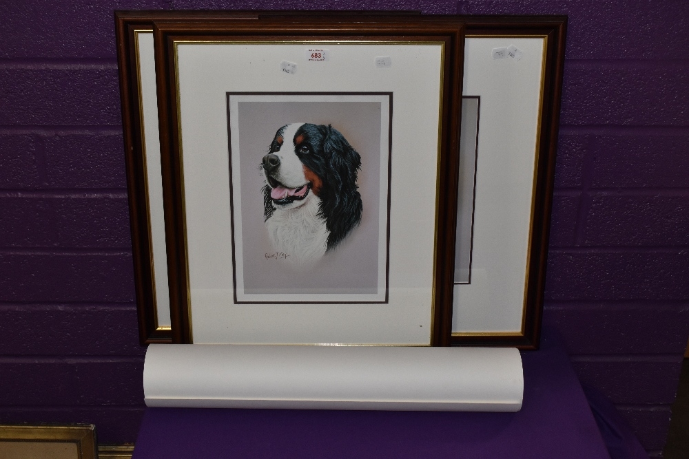 Robert J. May | Portraits of a Bernese Mountain dog | MutualArt