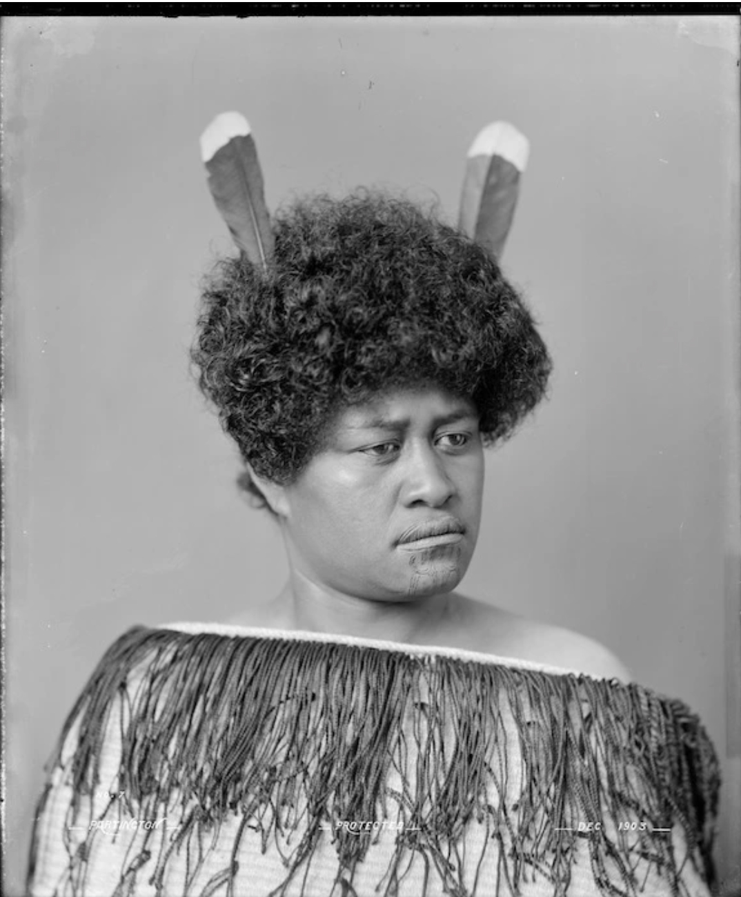 William Henry Thomas Partington | Maori Woman Wearing Korowai and Huia ...