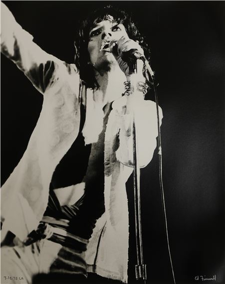 Ed Finnell | George Harrison - Dark Horse Tour | MutualArt