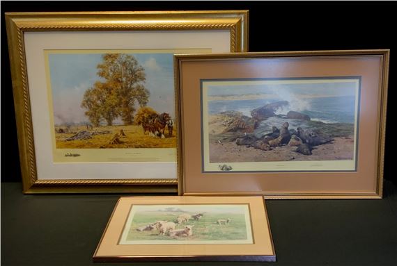 David Shepherd | by and after, Elephant Seals | MutualArt