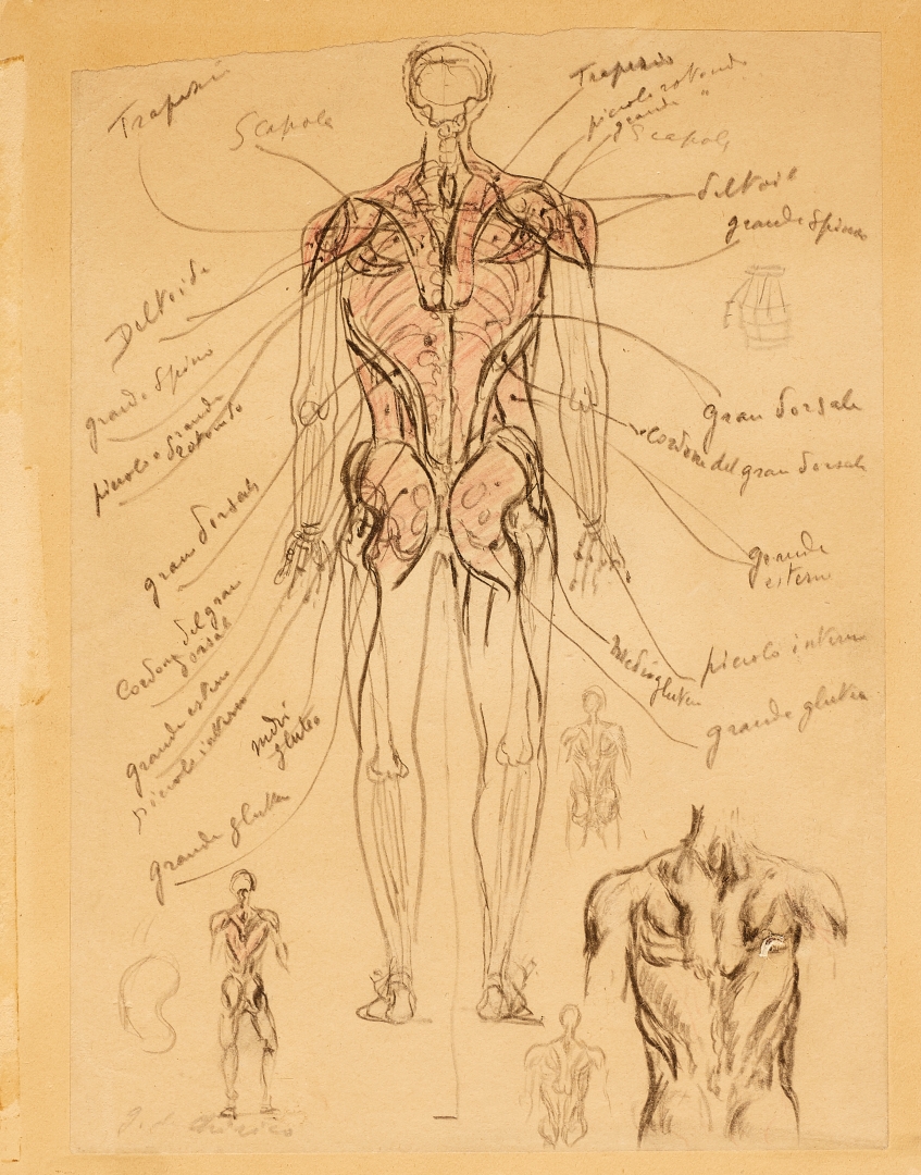 Giorgio de Chirico | Anatomy studies Mid 50's | MutualArt
