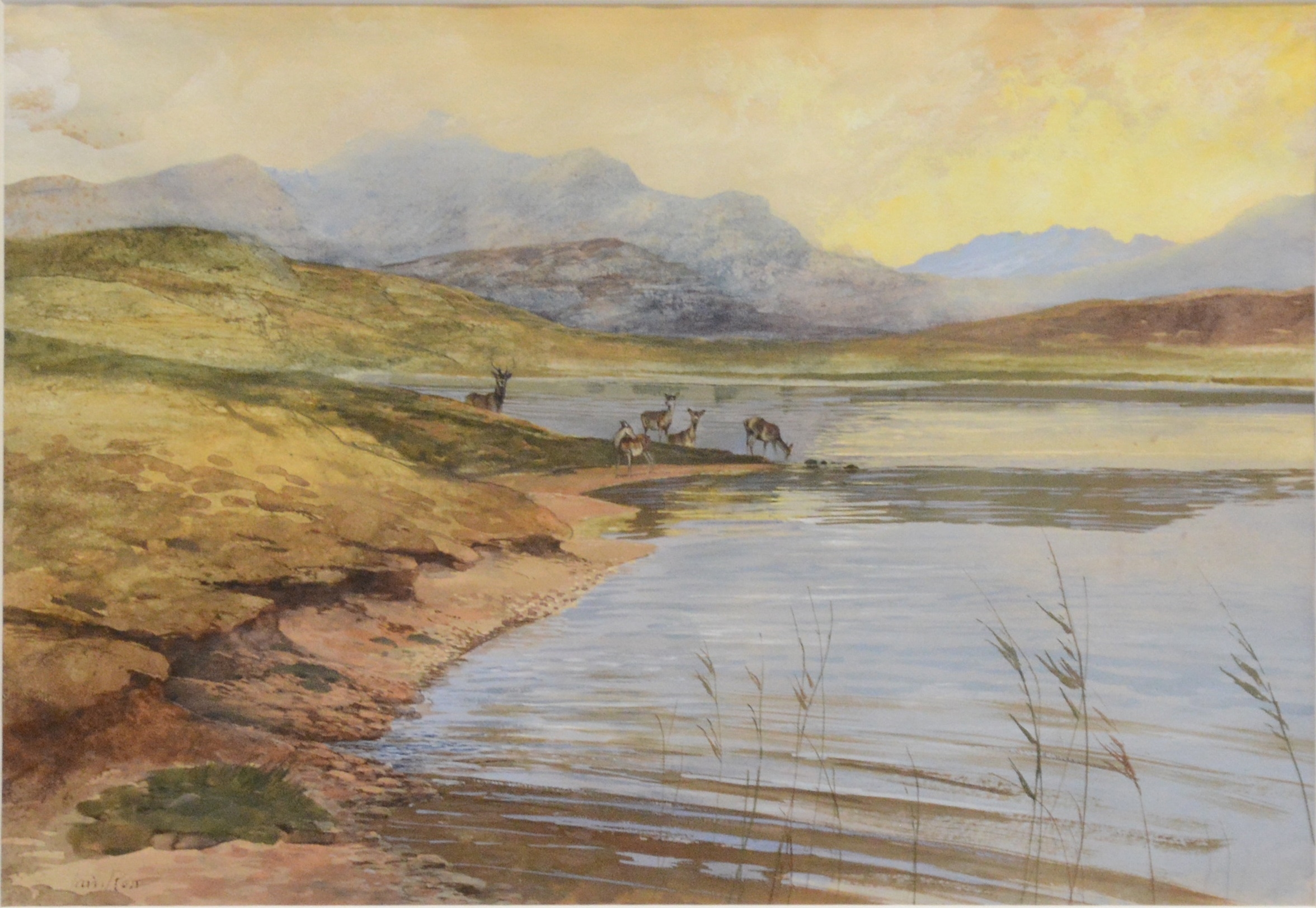 Iain Ross | Deer by a Scottish Loch. | MutualArt