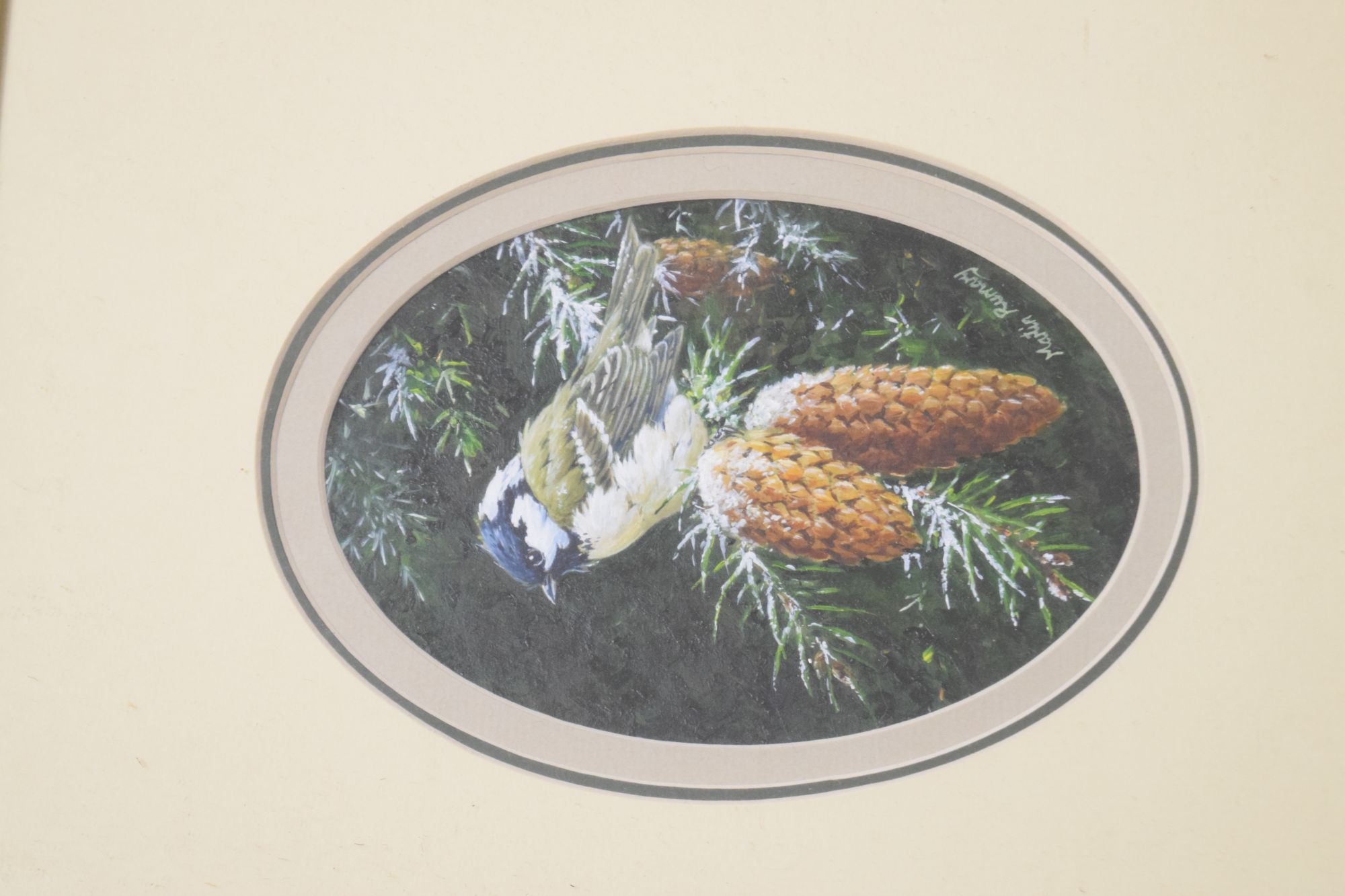 Martin Rumary | Two gouache bird studies - Blue Tit | MutualArt