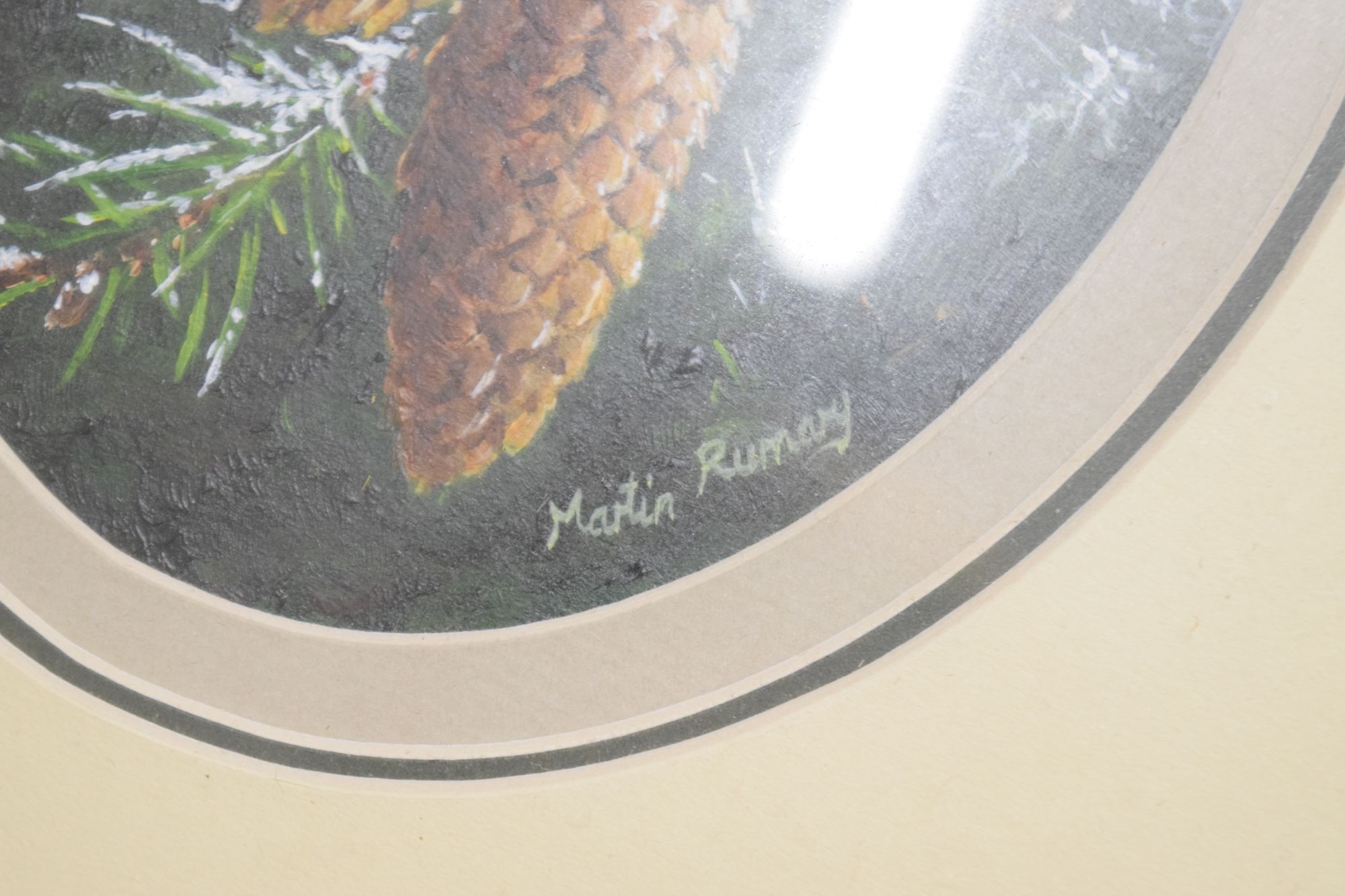 Martin Rumary | Two gouache bird studies - Blue Tit | MutualArt