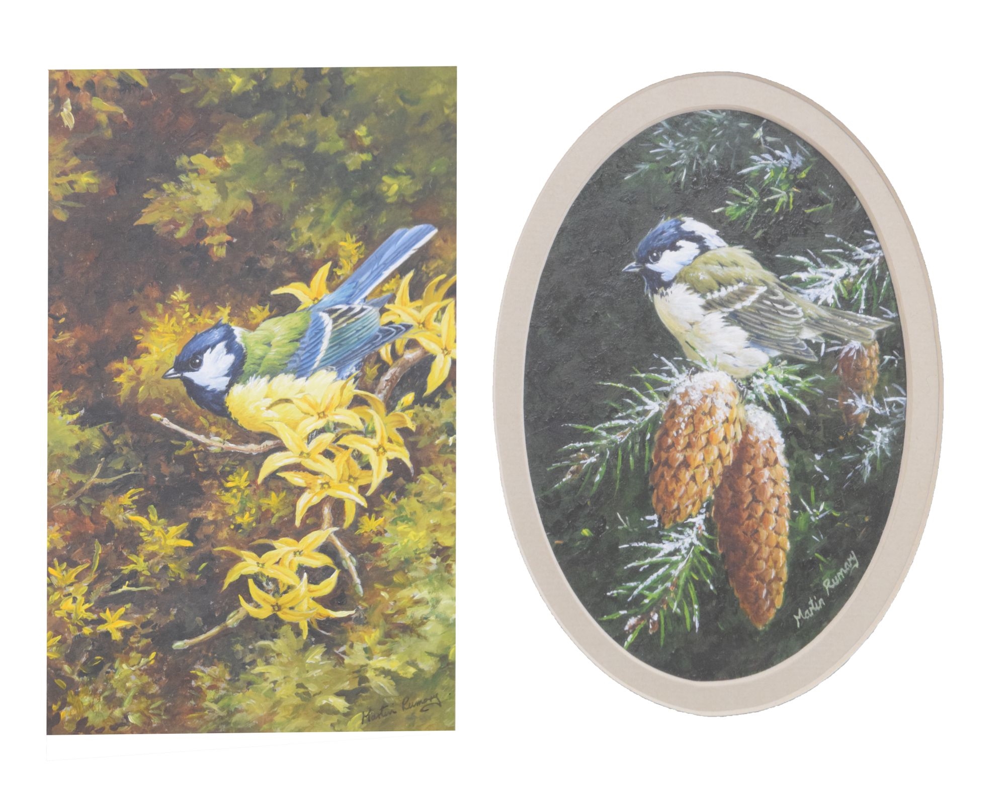 Martin Rumary | Two gouache bird studies - Blue Tit | MutualArt