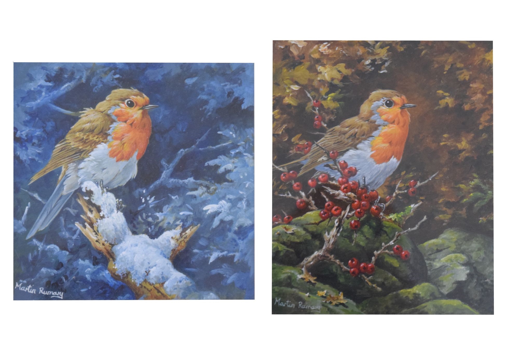 Martin Rumary | Robins in seasonal treetops | MutualArt