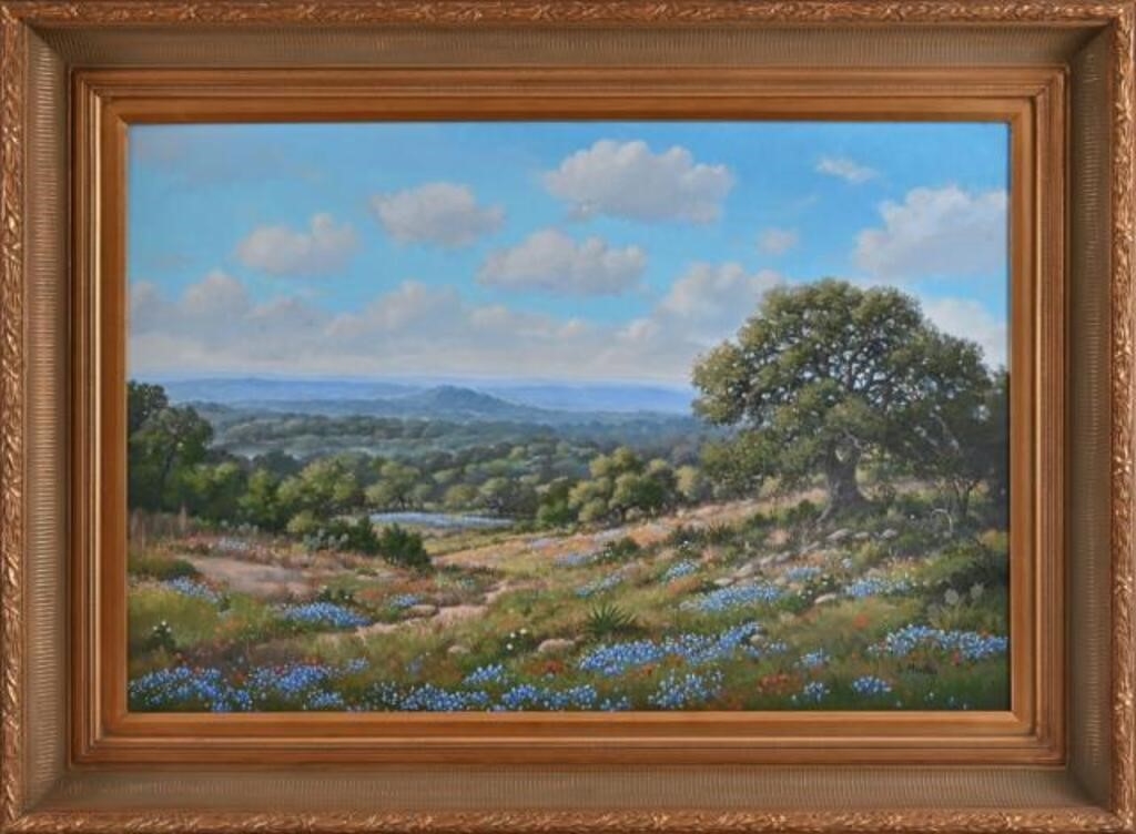 Sally Minter | Texas Hill Country Landscape | MutualArt