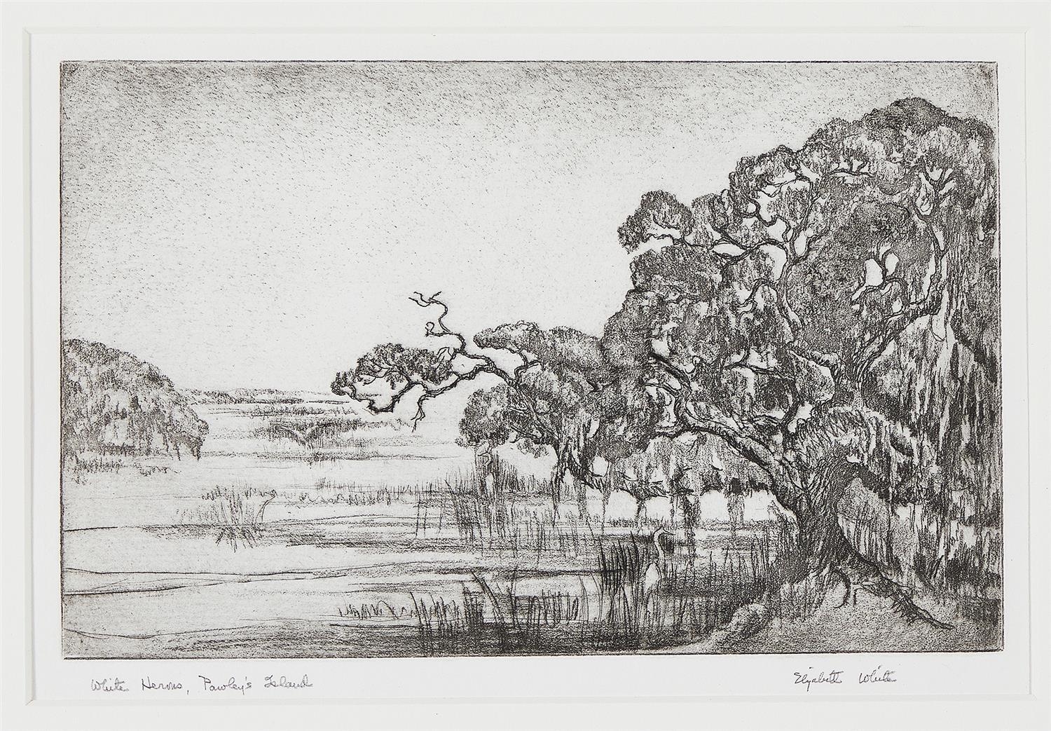 Elizabeth White | WHITE HERON, PAWLEY'S ISLAND (1893) | MutualArt
