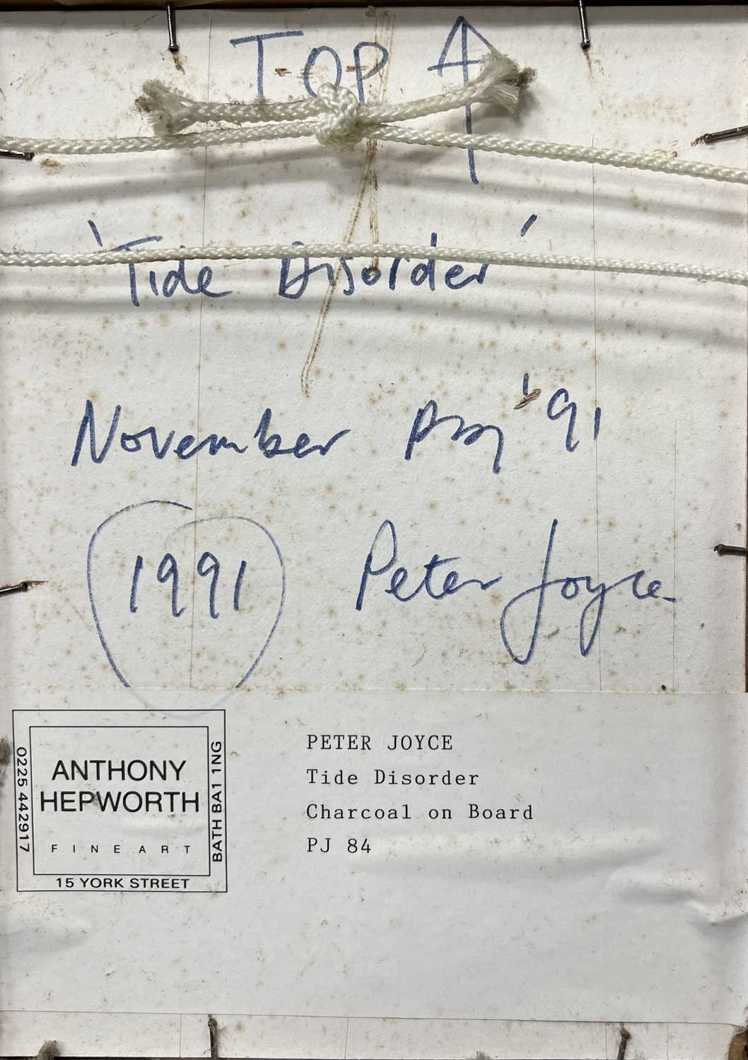 Peter Joyce | Tide Disorder, November 1991 (1991) | MutualArt