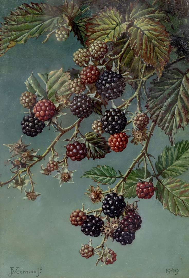 Jan Voerman II | Peren in schaal (1969) | MutualArt