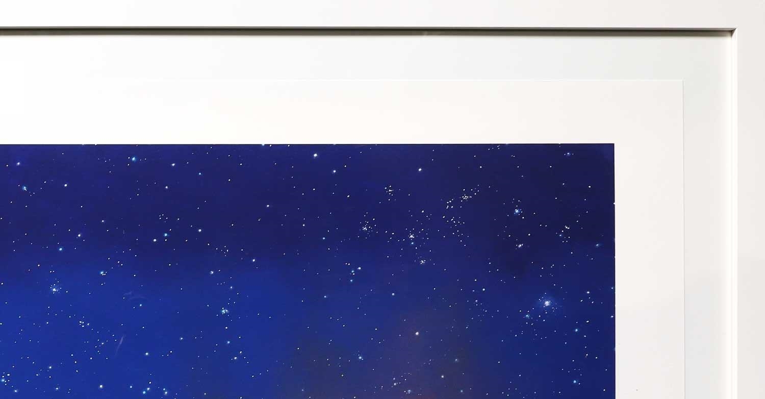 Tim Storrier | Constellation Fire | MutualArt