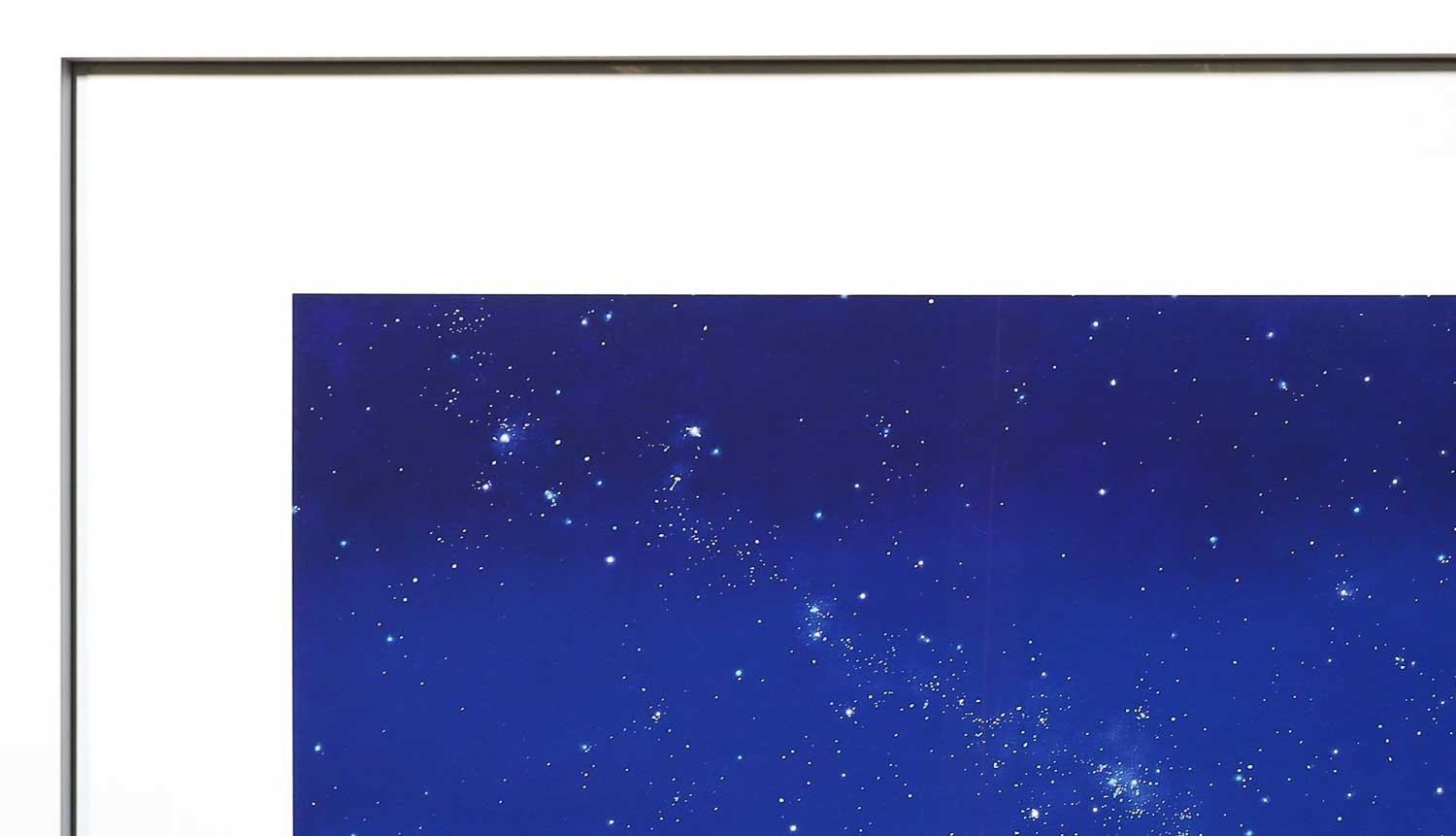 Tim Storrier | Constellation Fire | MutualArt