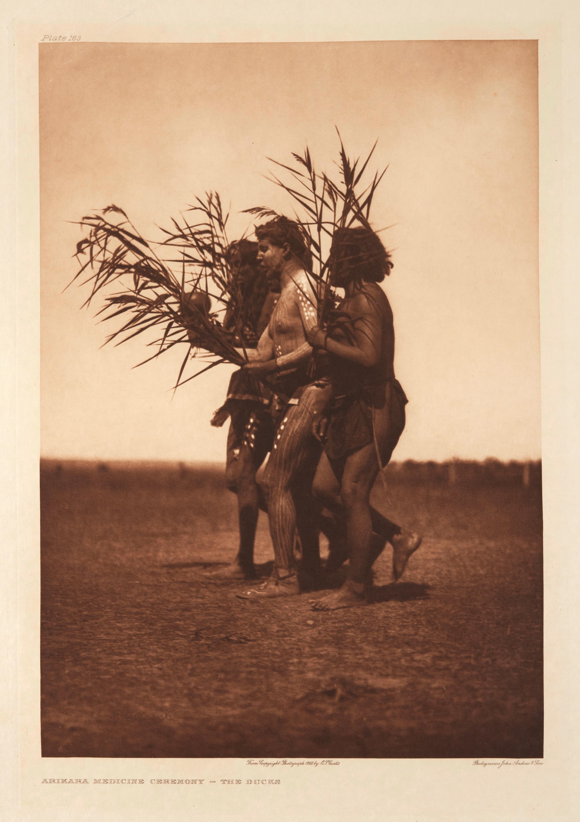 Edward S. Curtis | Arikara Medicine Ceremony, Dance of the Black-Tail ...