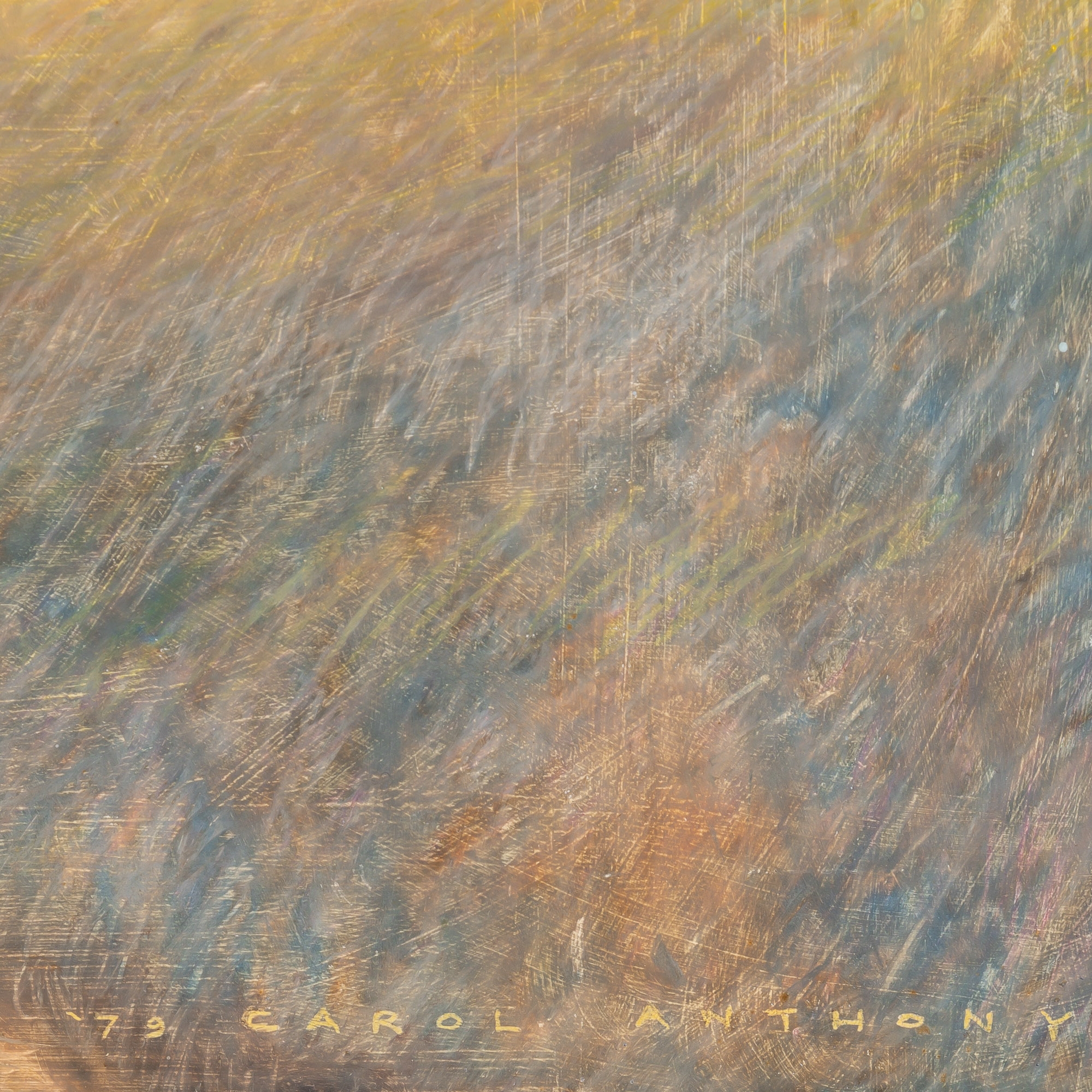 Carol Anthony | Summer Road, 1979 | MutualArt