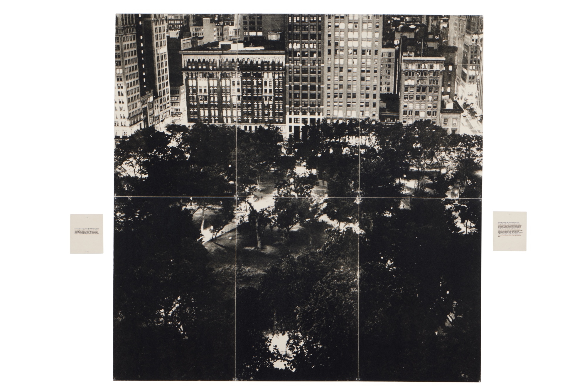 Lorna Simpson Le Parc