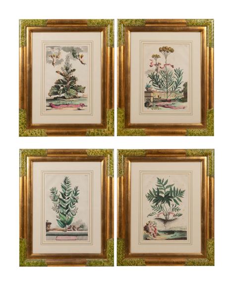Abraham Munting | FOUR ABRAHAM MUNTING COLORED ENGRAVINGS | MutualArt