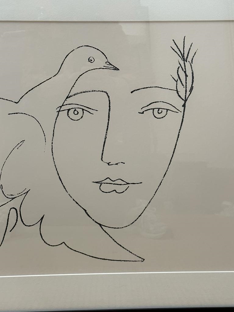Pablo Picasso | A framed print of Picassos The Face of Peace 45cm x ...