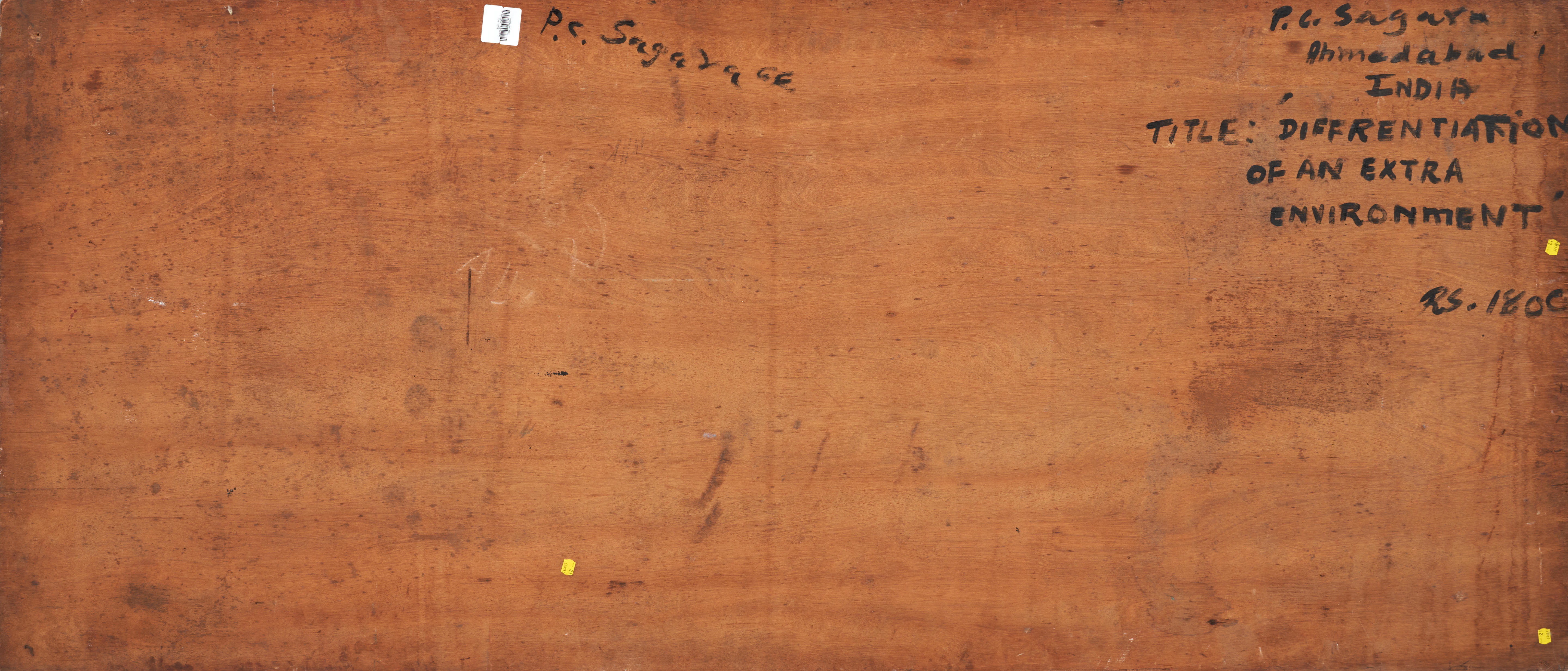 Piraji C. Sagara | Differentiation of an Extra Environment (1964 ...
