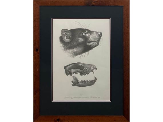 Tim Squires | 1 Artworks at Auction | MutualArt