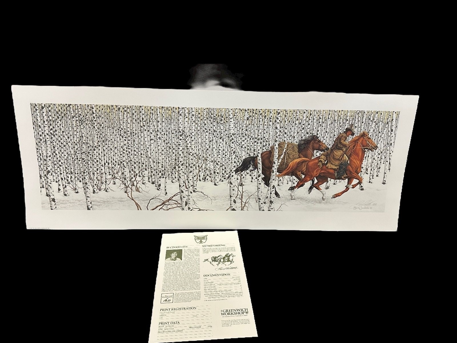 Bev Doolittle | Bev Doolittle Lithograph Sacred Ground: Numbered 29029/ ...