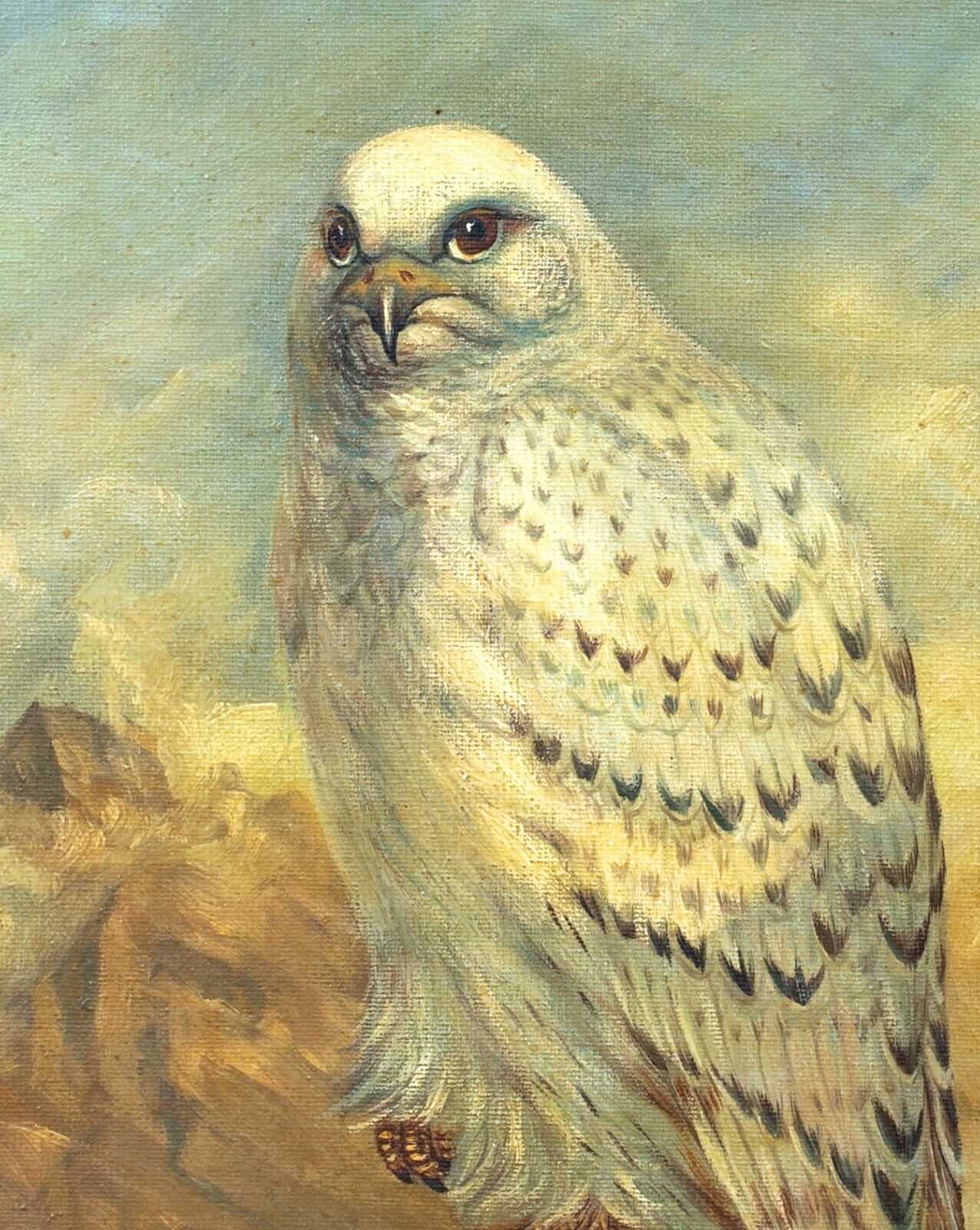 Ellen Gilbert | PORTRAIT OF A GREENLAND GYR FALCON OIL PAINTING (19th ...