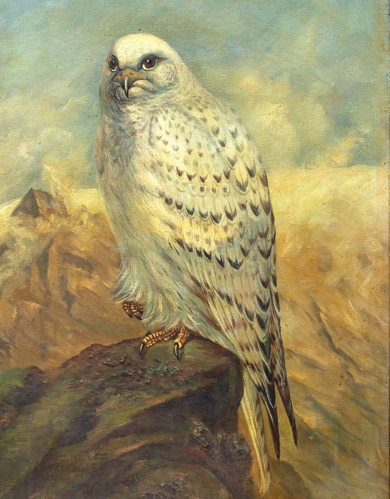 Ellen Gilbert | PORTRAIT OF A GREENLAND GYR FALCON OIL PAINTING (19th ...