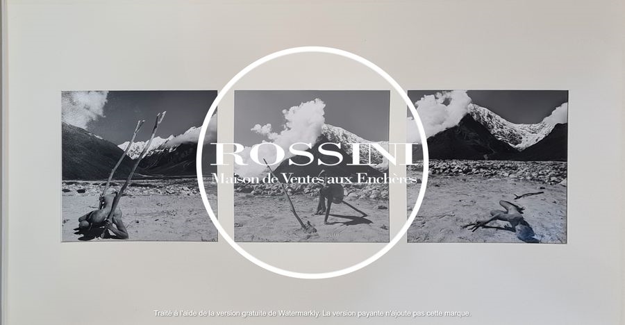 Minot & Gormezano | Géographie sacrée, anatomie subtile, Himalayas 1986 ...