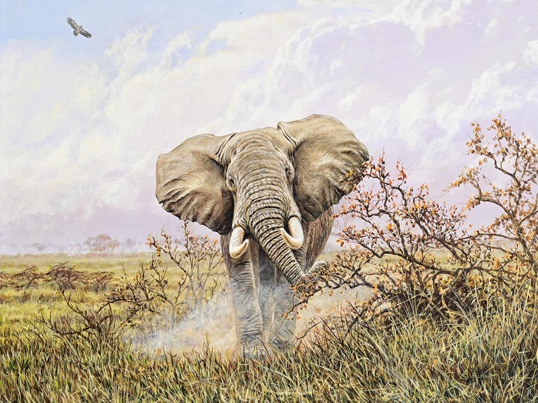 Alan M. Hunt | In His Prime, male lion (2012) | MutualArt