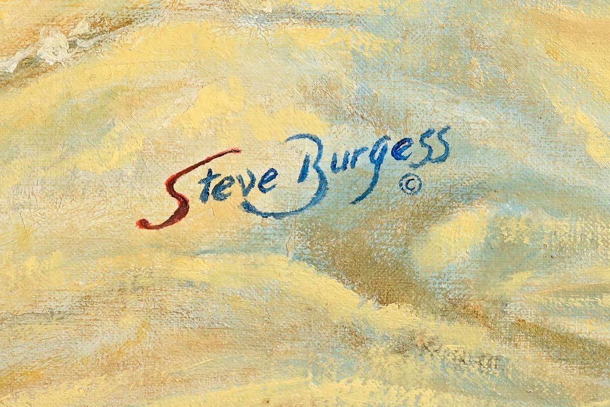 Steve Burgess | Target Locked | MutualArt