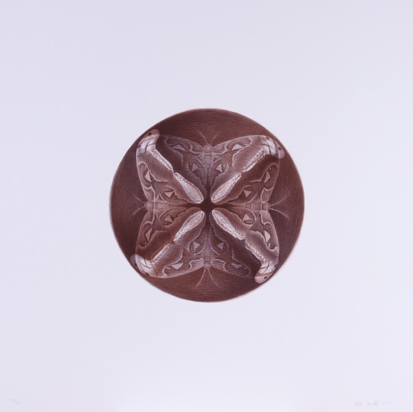 Petr Nikl | Atlas velký: Hadí motýl IV (2019) | MutualArt