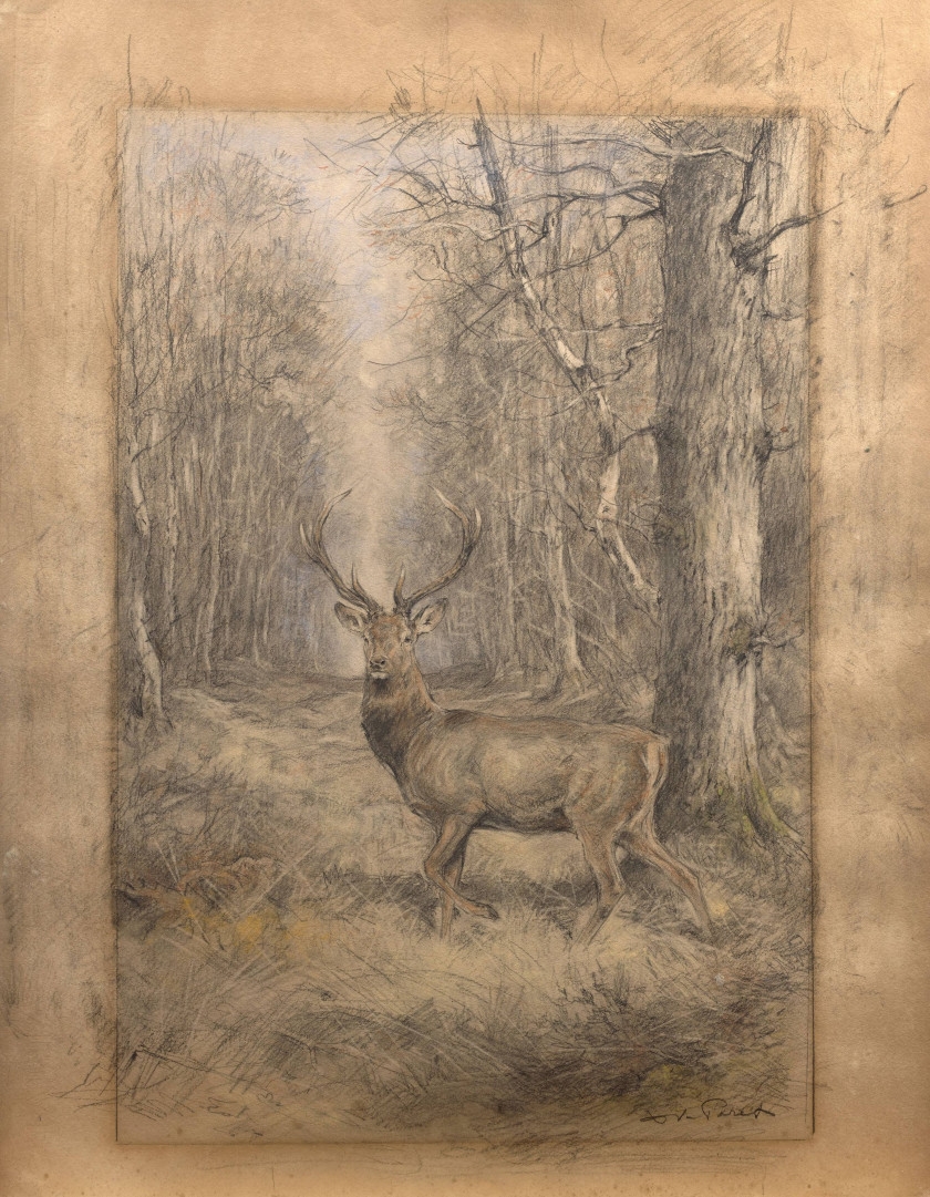 Xavier de Poret | Cerf au passage d'une allée (1894) | MutualArt