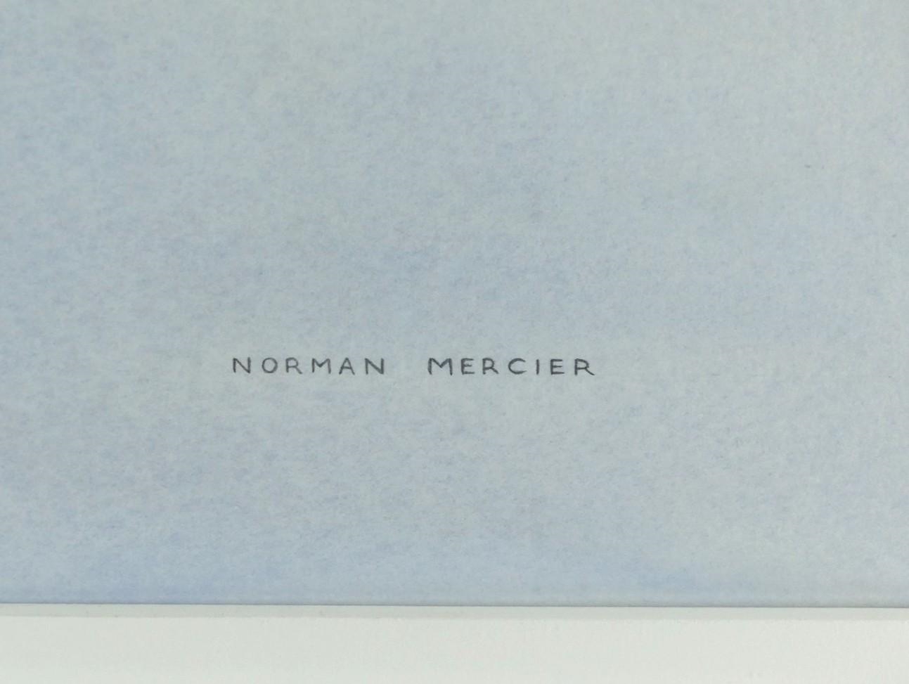 Norman Mercer | Original watercolour on paper depicting a bluebird on ...