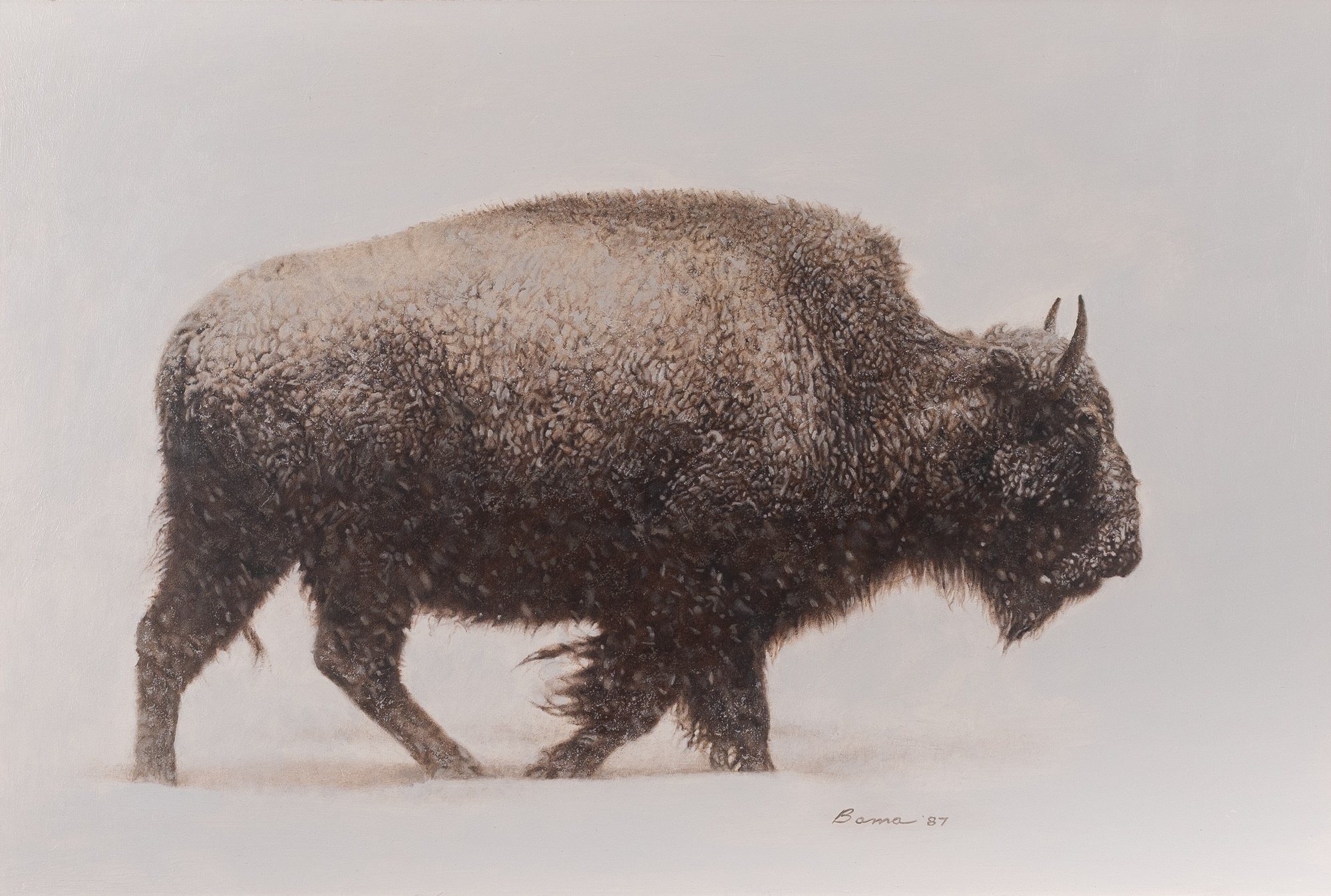 James Bama | Buffalo in a Storm | MutualArt